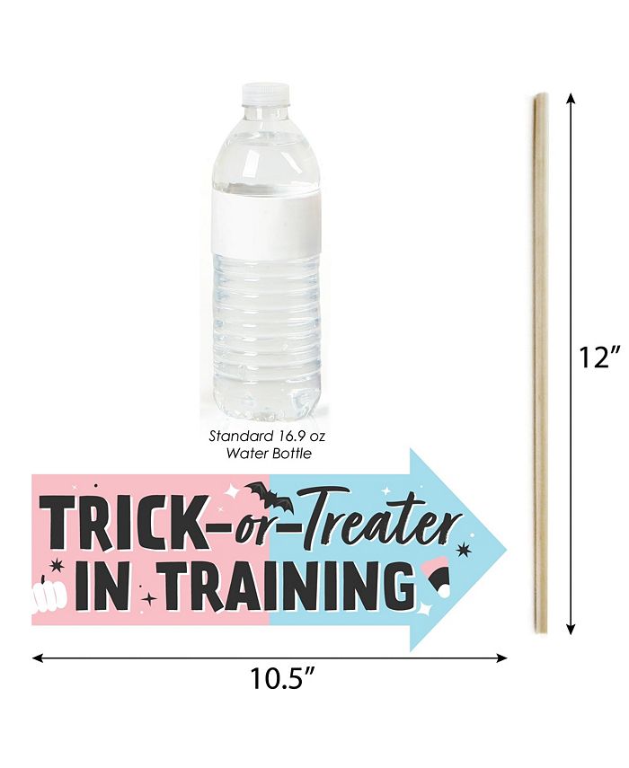 Big Dot of Happiness Funny Boo-y or Ghoul - Halloween Gender Reveal ...