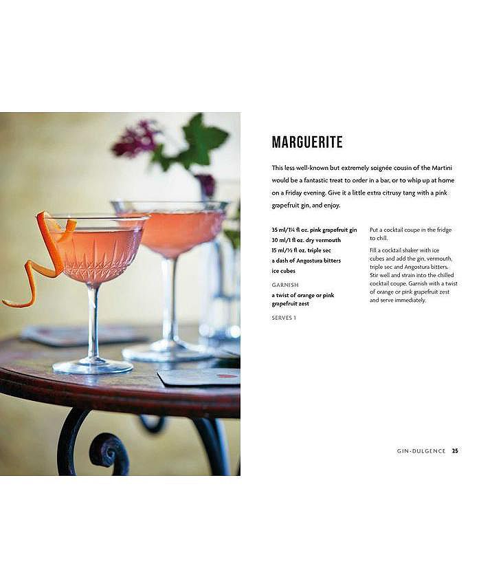 Barnes & Noble Gin-dulgence: Over 50 gin cocktails, from iconic to ...