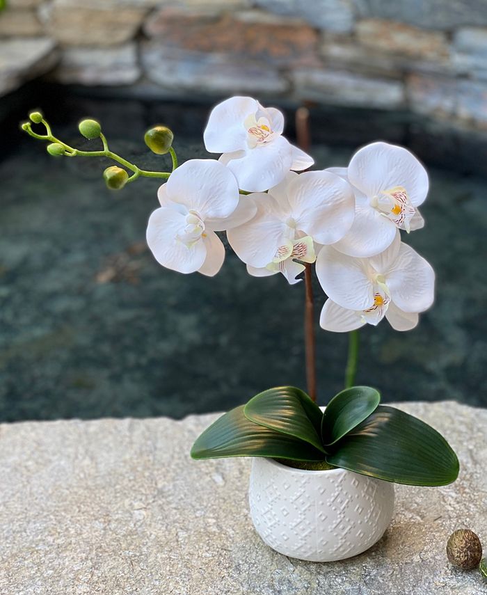 Flora Bunda Real-Touch Orchid in Wh Indian Ceramic Pot E Pack, 18" - Macy's