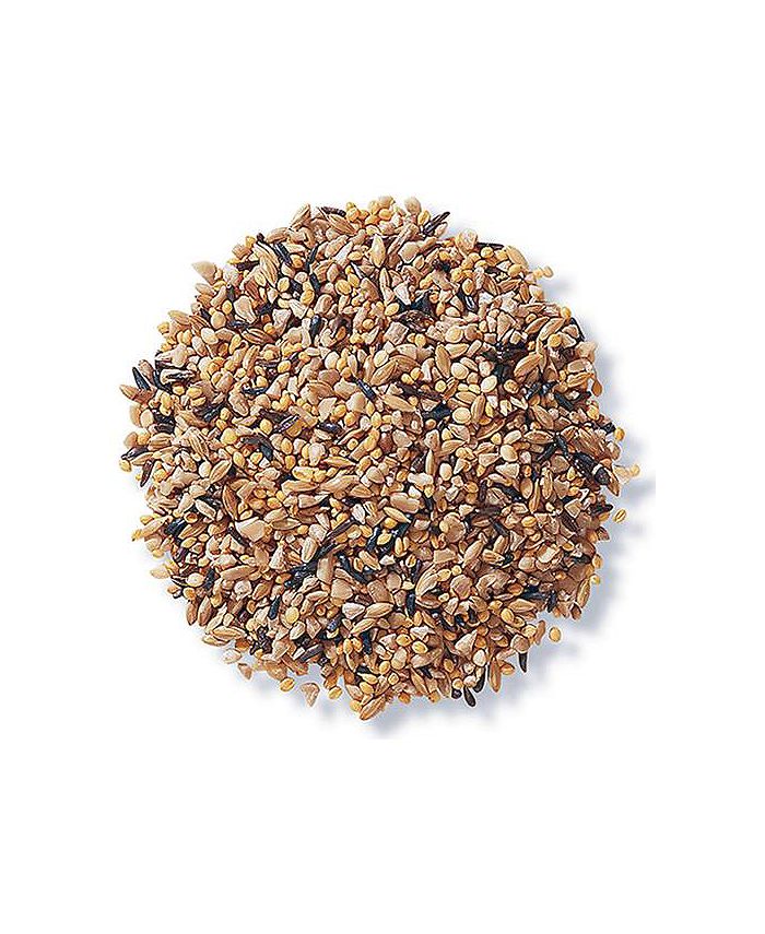 Shafer Seed Finches Gourmet Bird Food 8 Pounds - Macy's