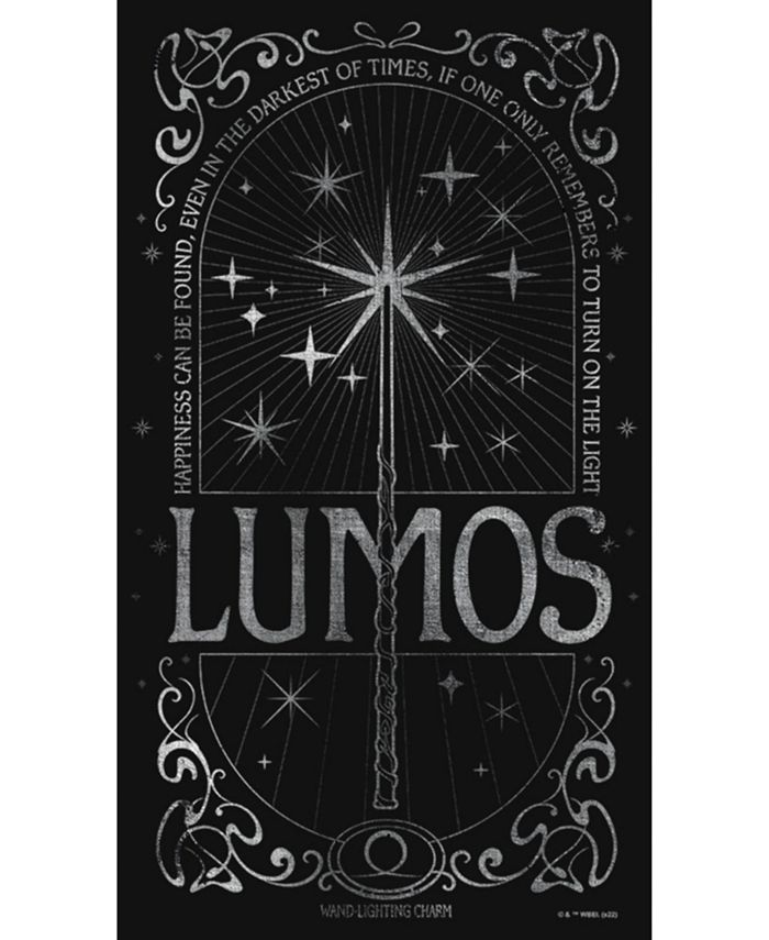 Warner Bros. Girl's Harry Potter Lumos Happiness Spell Child T-Shirt ...