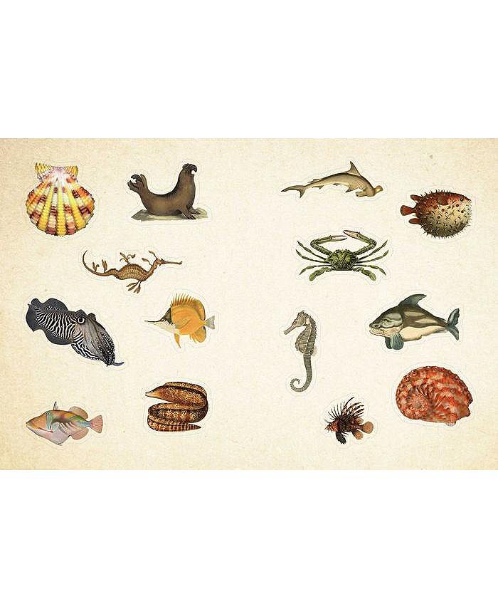 Barnes & Noble Cabinet of Curiosities: Over 1,000 Curated Stickers from ...