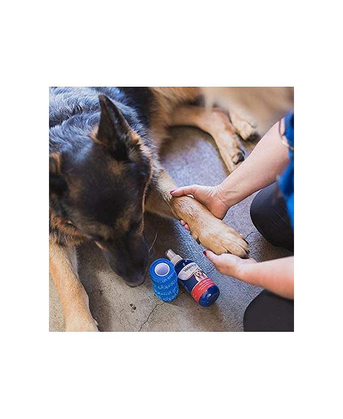 Innovacyn - Vetericyn Plus Hot Spot Spray for Dog (8 fl oz) - Macy's