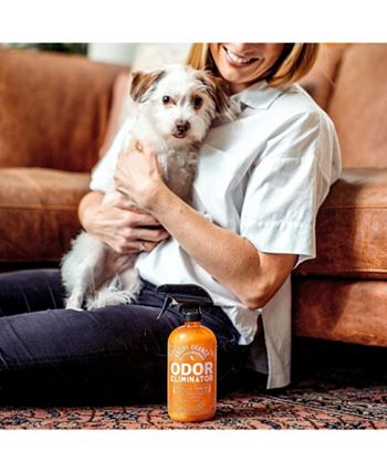 Angry Orange 24 oz Ready-to-Use Citrus Pet Odor Eliminator Pet Spray ...