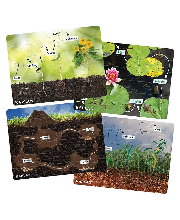 Kaplan Early Learning STEM Learning Realistic Animal and Plant Life ...
