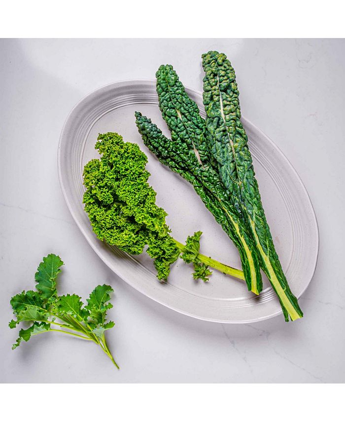 Macy's AeroGarden Mixed Kale 6-Pod Seed Kit - Macy's