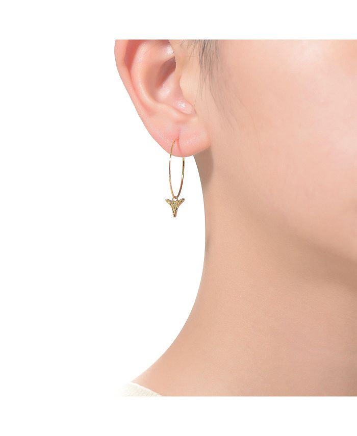Rachel Glauber 14k Gold Plated Cubic Zirconia Hoop Earrings Macys