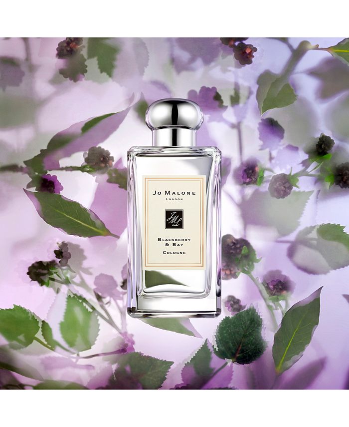 Jo Malone London Blackberry & Bay Cologne, 3.4-oz. & Reviews - Perfume ...
