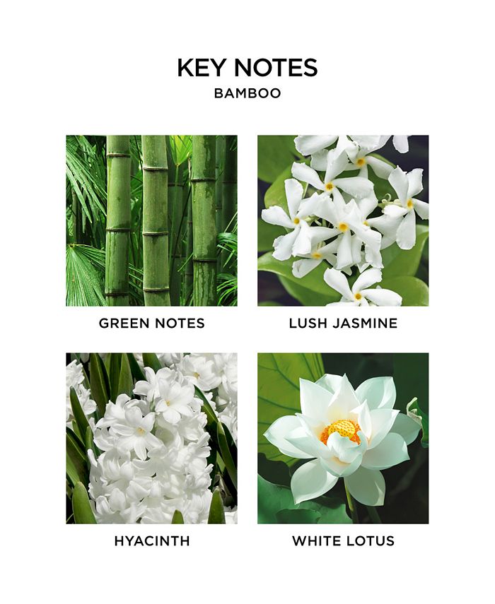 NEST New York Bamboo Reed Diffuser, 5.9 oz. - Macy's