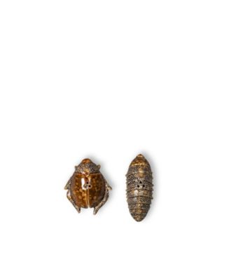 ByON Salt Pepper Bug - Macy's