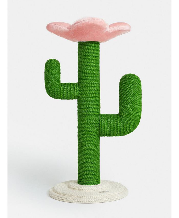 VETRESKA Blooming Cactus Cat Scratching Post, Cactus Cat Scratchers ...