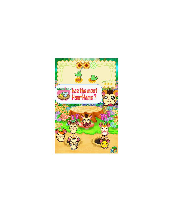 Crave Fame Crave Hi! Hamtaro: Ham-Ham Challenge - Nintendo DS - Macy's