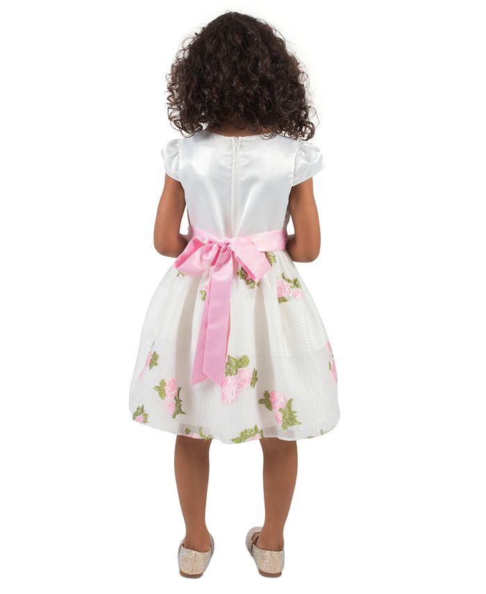Rare Editions Little Girls Satin to Burnout Organza A-Line Dress ...
