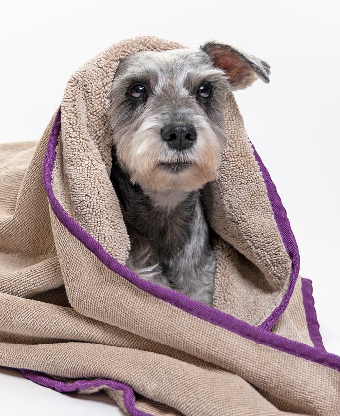 Petcode Paws Deluxe Dog Grooming 50" x 30" Spa Kit Large Towel, Set of ...