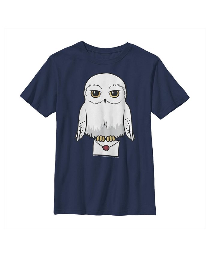 Warner Bros. Boy's Harry Potter Cartoon Hedwig Letter Child T-Shirt ...