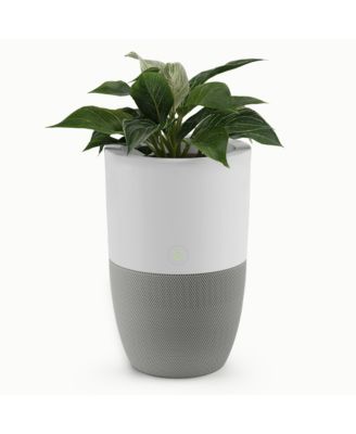 Dupray Bloom Air Purifier Smart HEPA 13 Medical Grade Filtration Large Rooms 1 517 Sq. Ft. with Integrated Planter Macy s