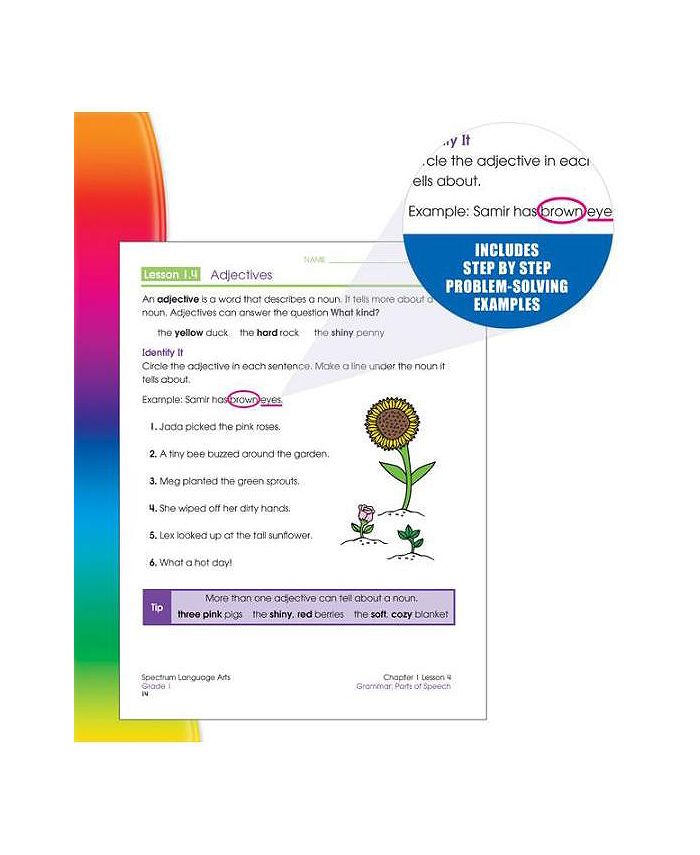 Barnes & Noble Spectrum Language Arts, Grade 1 by Spectrum Compiler ...