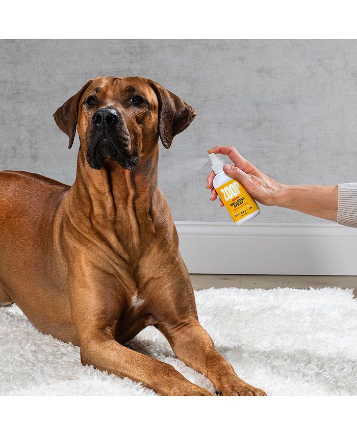 Zoop Wellness Pet Spray - Whole Body Health and Pet Hygiene - For Dog ...
