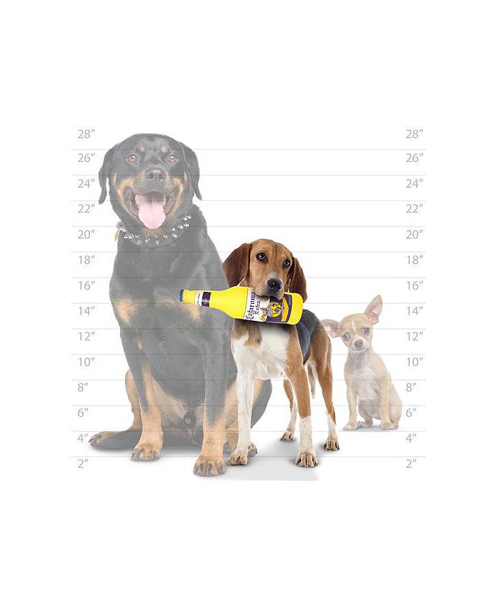 Silly Squeaker Beer Bottle Cataroma, 2-Pack Dog Toys - Macy's