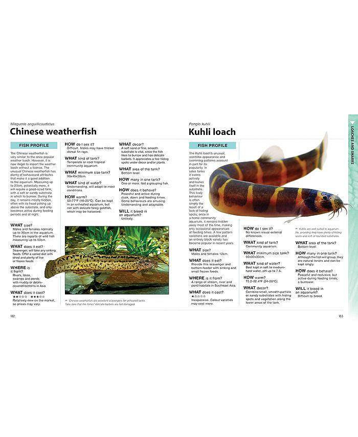 Barnes & Noble What Freshwater Fish?- A Buyer's Guide to Tropical ...