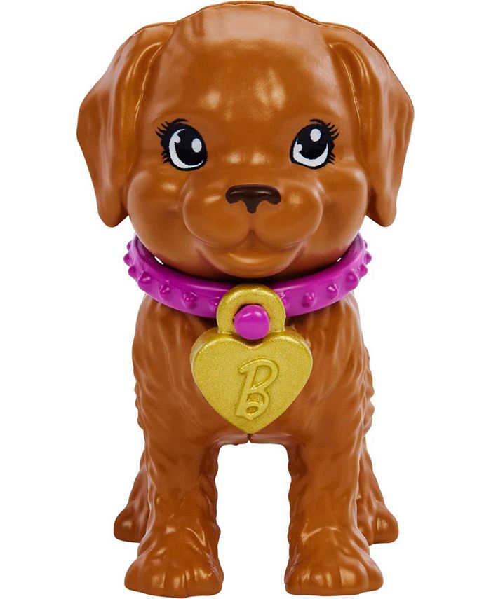 Barbie Doll and Accessories Pup Adoption Playset with Doll, 2 Puppies ...