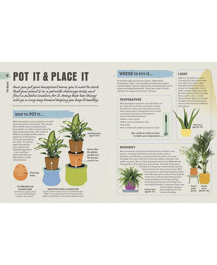 Barnes & Noble How Not to Kill Your Houseplant- Survival Tips for the ...