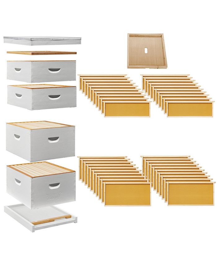 Honey Keeper Beehive Kit Assembled and Painted, 10 Frame Kit, 2 Deep ...