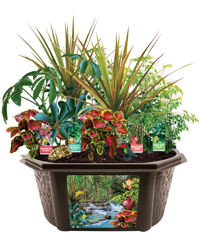 Toys By Nature Biosphere Terrarium - Tropical Rainforest Jungle - Macy's