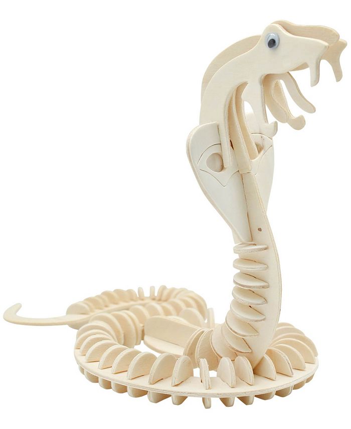 WILD! Science Wild Environmental Science - Extreme Snakes of the World ...