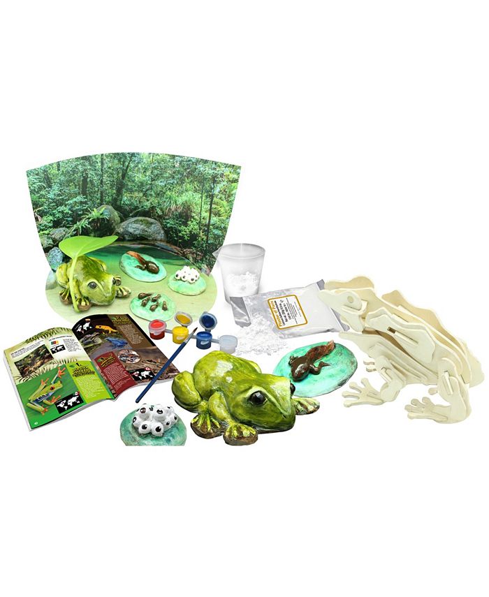 WILD! Science Wild Environmental Science - Amazing and Bizarre Frogs of ...