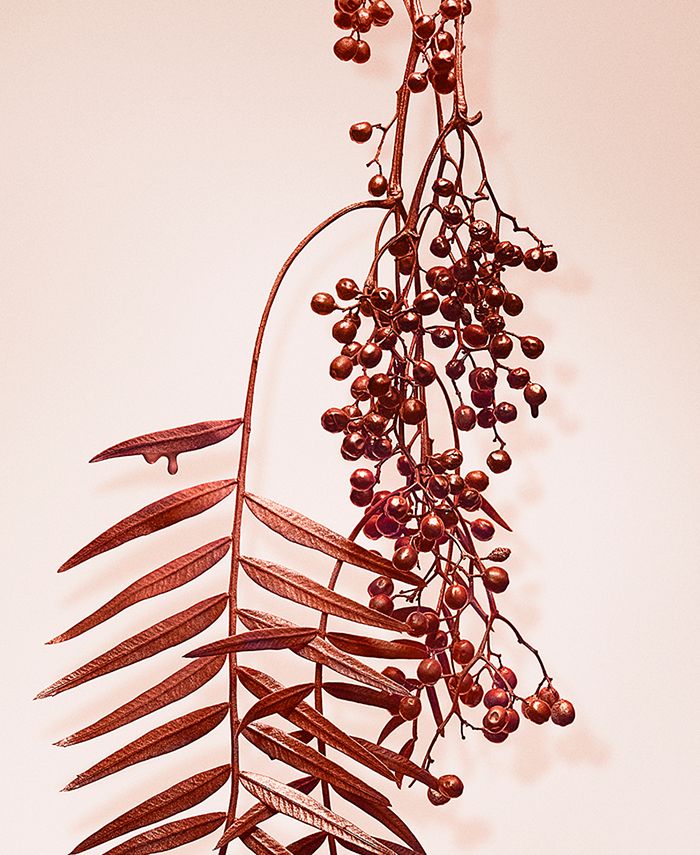 Tiffany & Co. Rose Gold Intense Eau de Parfum, 2.5 oz. - Macy's