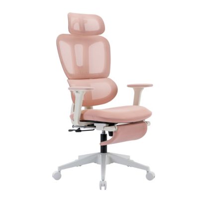 Simplie Fun Adjustable Ergonomic Mesh Office Chair with High Back ...