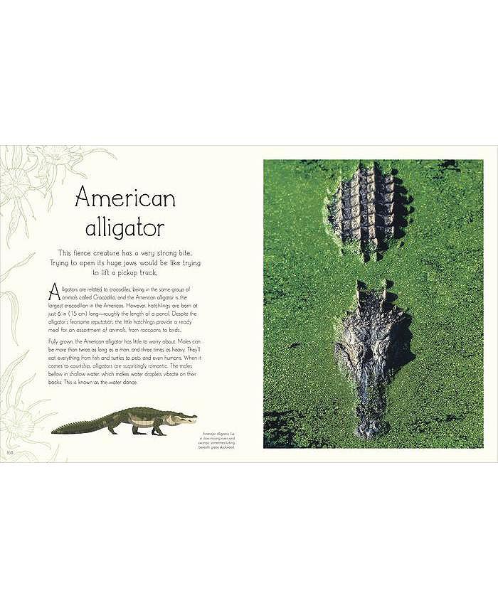 Barnes & Noble An Anthology of Aquatic Life by Sam Hume - Macy's