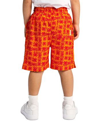 Sovereign Code Toddler & Little Boys Trail Printed Seersucker Shorts ...