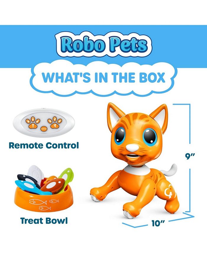 Power Your Fun Robo Pets Cat for Girls and Boys - Macy's
