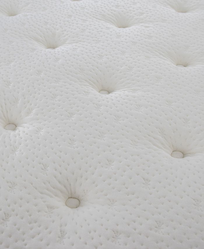 Paramount Nature Spa Exhale 2.0 13" Plush Mattress-California King ...