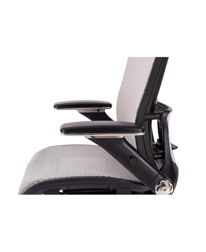 Simplie Fun High Back Ergonomic Office Chair with Adjustable Features ...
