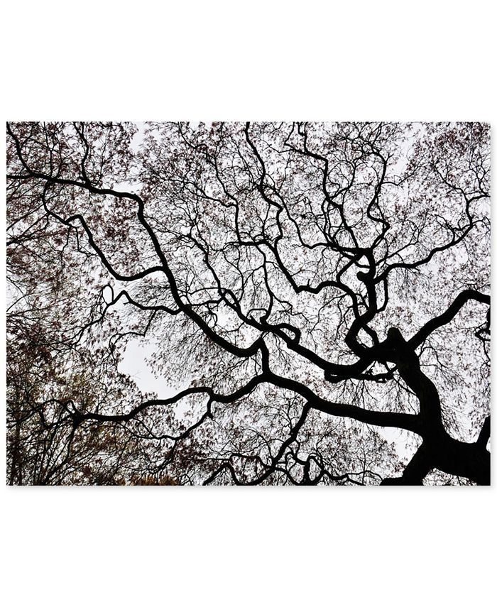 Trademark Global Kurt Shaffer 'Japanese Maple Spring Abstract II ...