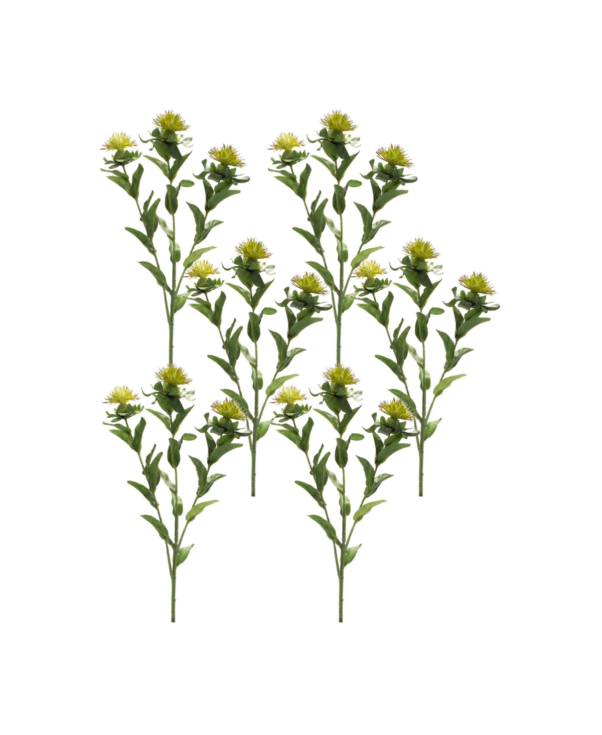 Click here for Green Thistle Floral Spray (Set of 6) - Green prices