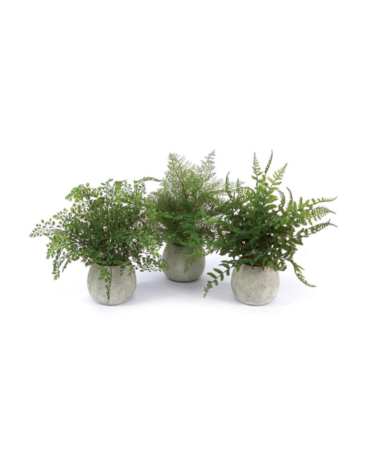 Click here for Set of 3 Potted Ferns-14 Inches High  Realistic Ar... prices