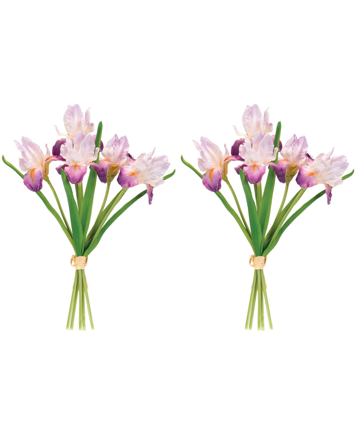 Click here for Iris Floral Bundles for Elegant Spring and Home De... prices