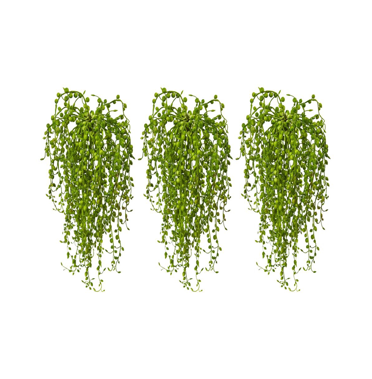 Click here for Slickblue Senecio Succulent for Modern and Drought... prices