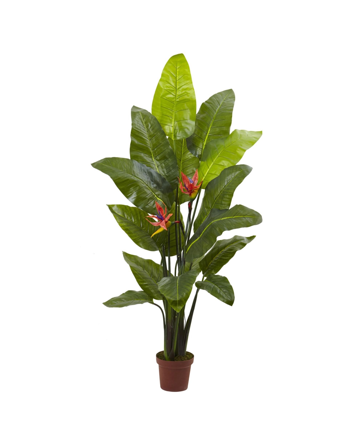 Click here for Slickblue Real Touch Bird of Paradise Plant Lifeli... prices