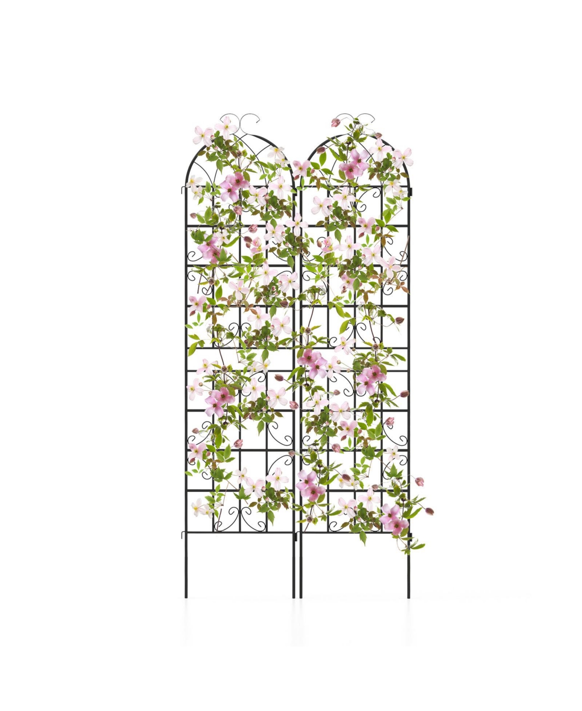 Click here for Sugift 2 Pack Metal Garden Trellis Decorative for... prices