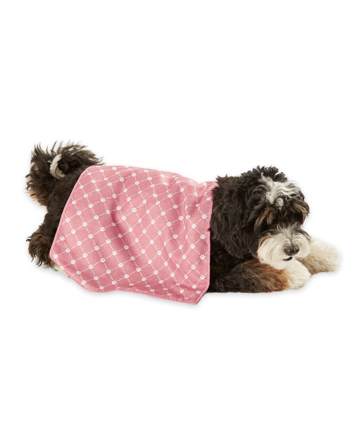 Click here for Bone Dry Microfiber Trellis Printed Pet Towel 3 Pi... prices
