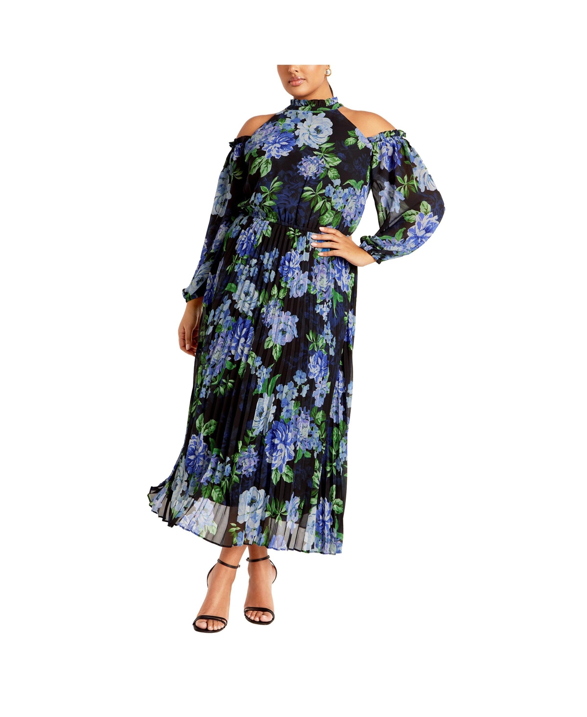 Click here for Plus Size Promise Print Maxi Dress - Blue blooms prices