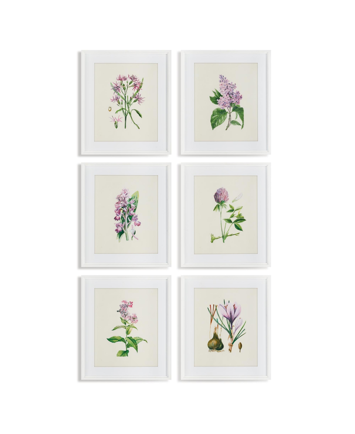 Click here for Flower Study Prints Set of 6 - Purple prices