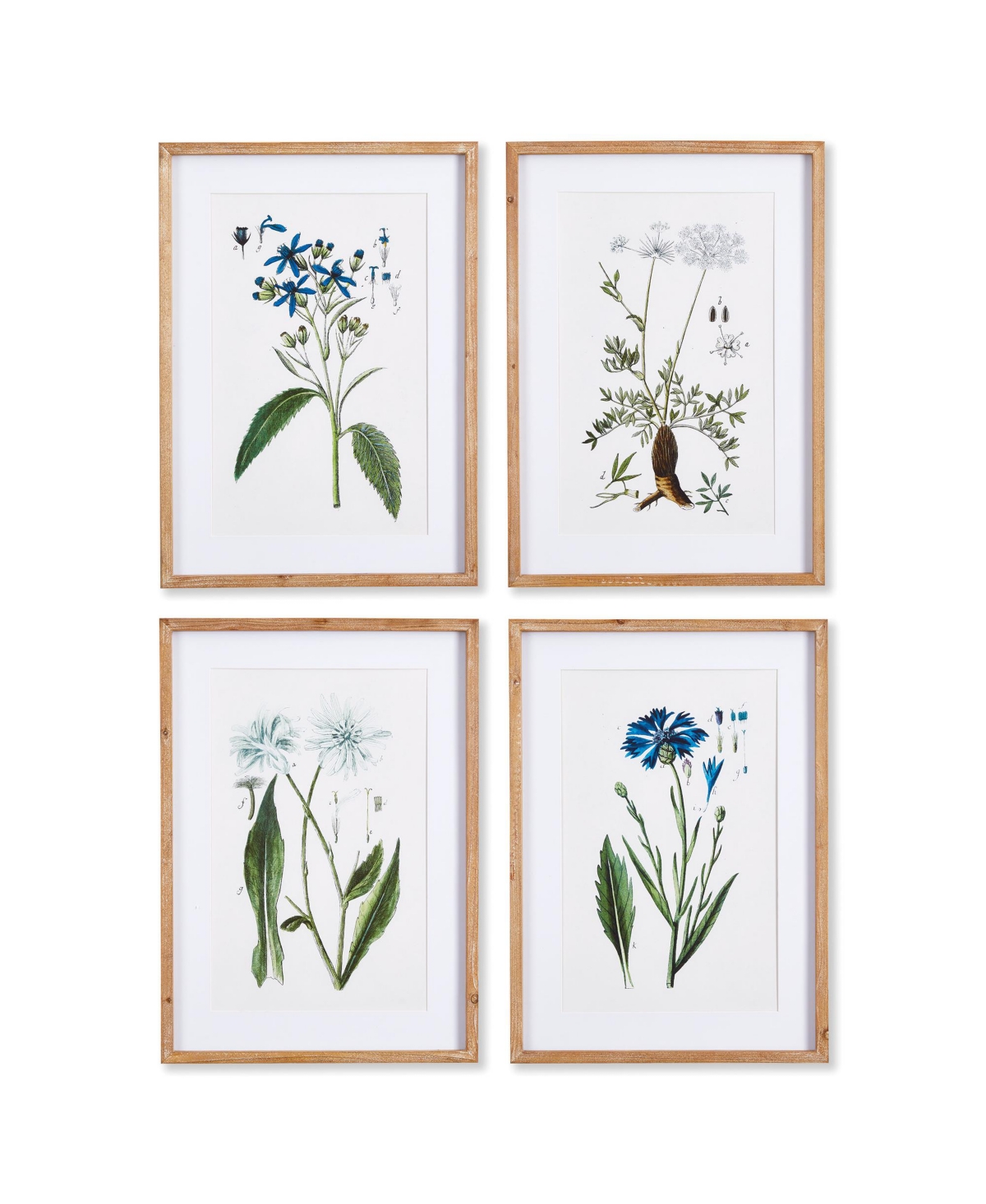 Click here for Mountain Botanical Prints Set of 4 - Green prices
