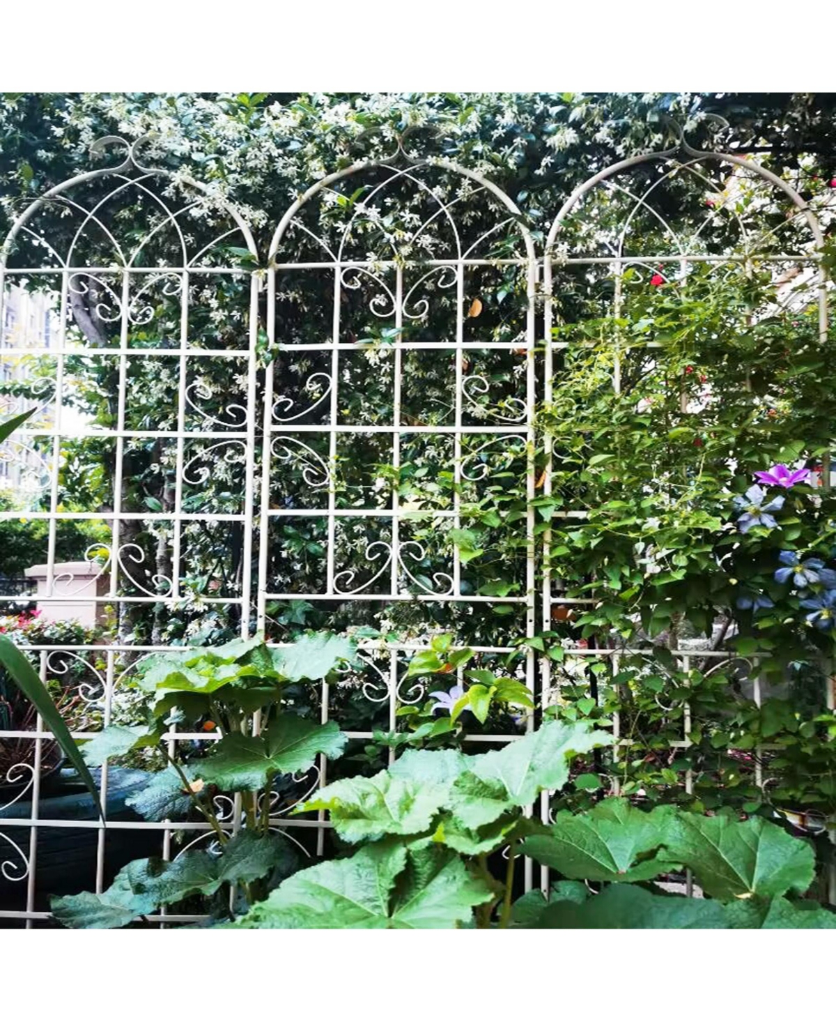 Click here for Streamdale Rustproof Metal Garden Trellis for Clim... prices