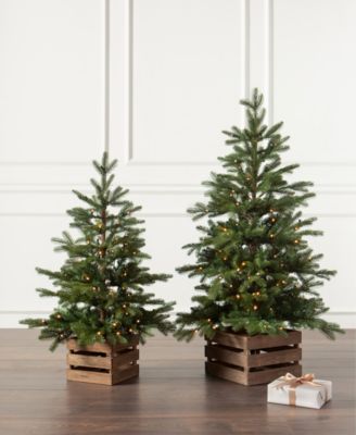 Click here for Balsam Hill Country Farm Pre Lit Fir Tree Collecti... prices